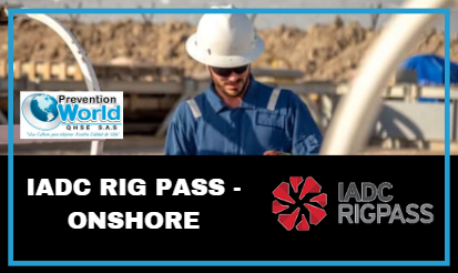 Instituto Prevention World QHSE: Todos los cursos